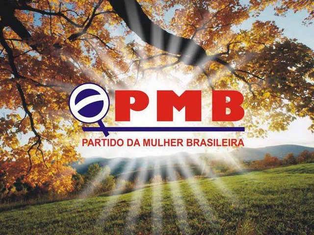 Novo partido de Bolsonaro é micro nanico na região - Novo Momento